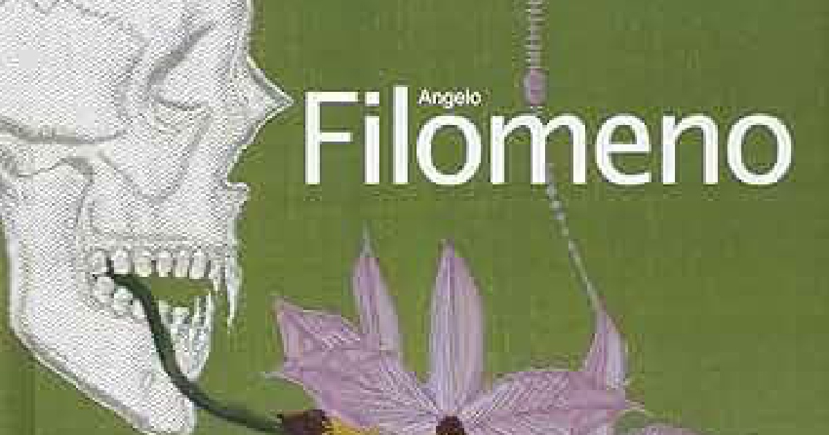 Publication: Angelo Filomeno - David Hunt | Galerie Lelong